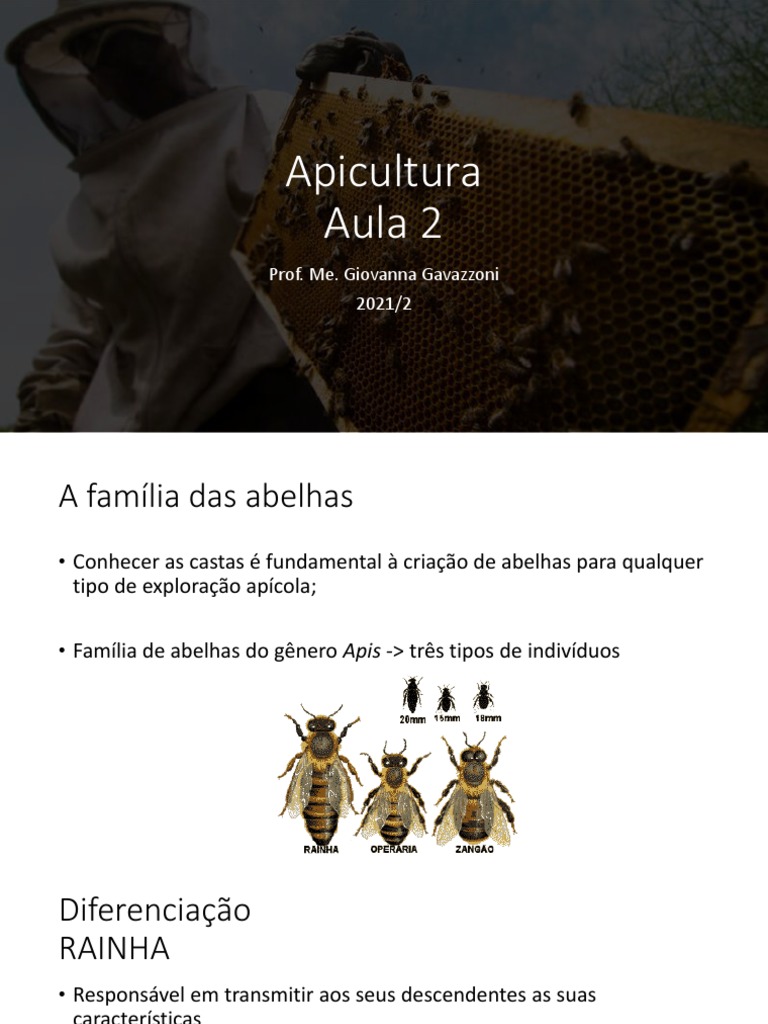 Aula 2 | PDF | Abelhas | Apicultura
