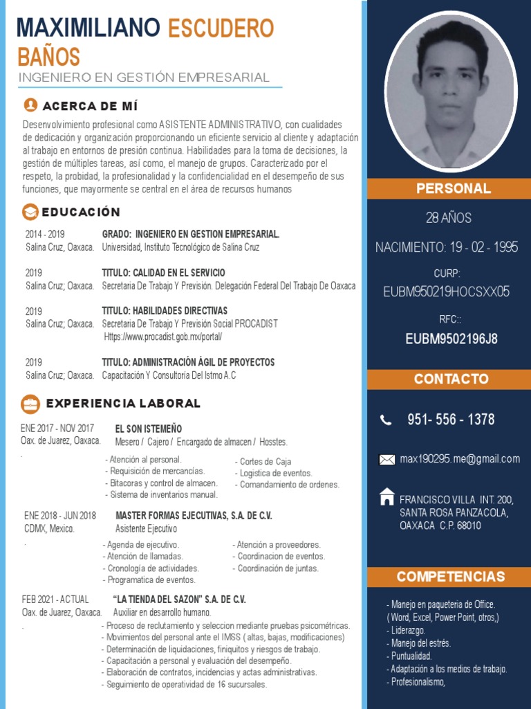 Curriculum Max | PDF | Business | Negocios económicos