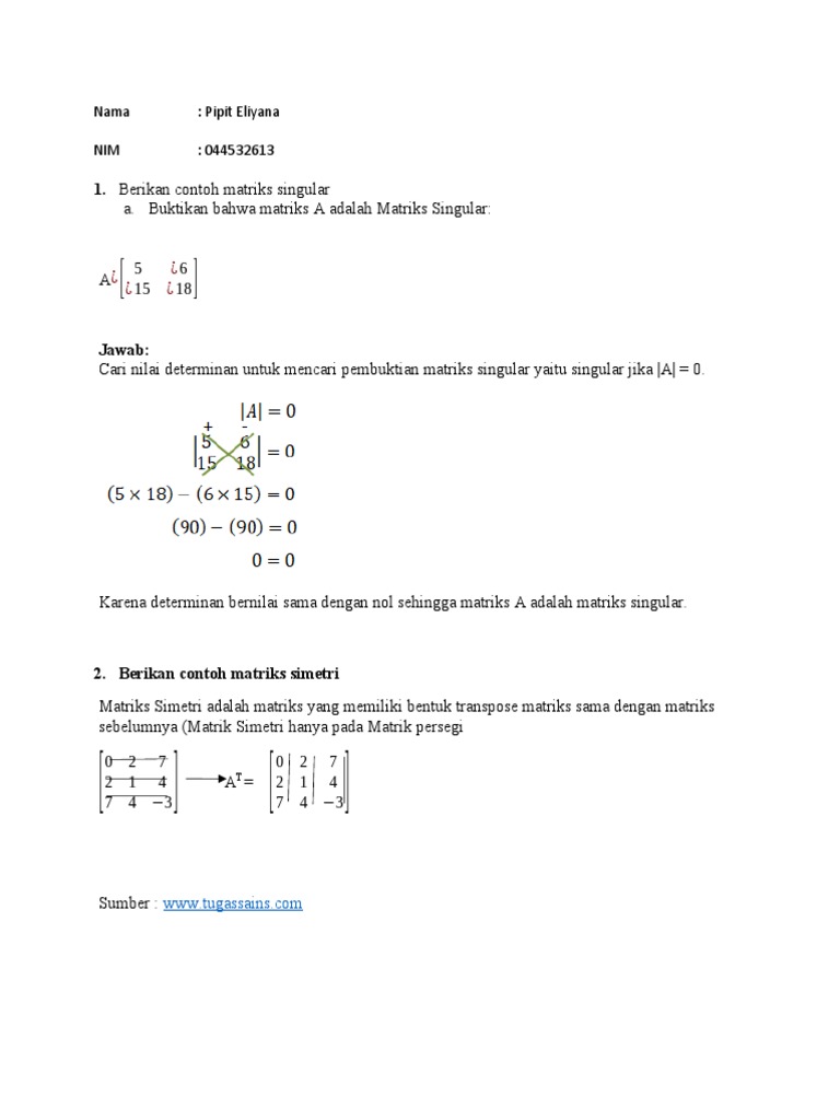 Contoh Matriks Singular dan Simetri | PDF