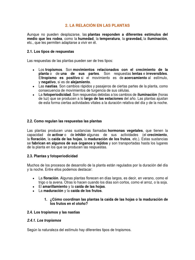 Relación de Las Plantas | PDF | Ciencia y matemáticas