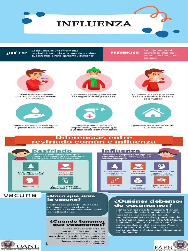 Infografía de INFLUENZA | PDF