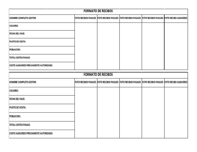 Formato de Recibos de Viaje | PDF