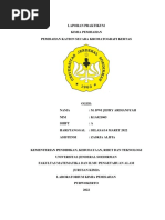 Laporan Praktikum Kromatografi Lapis Tipis (KLT) | PDF