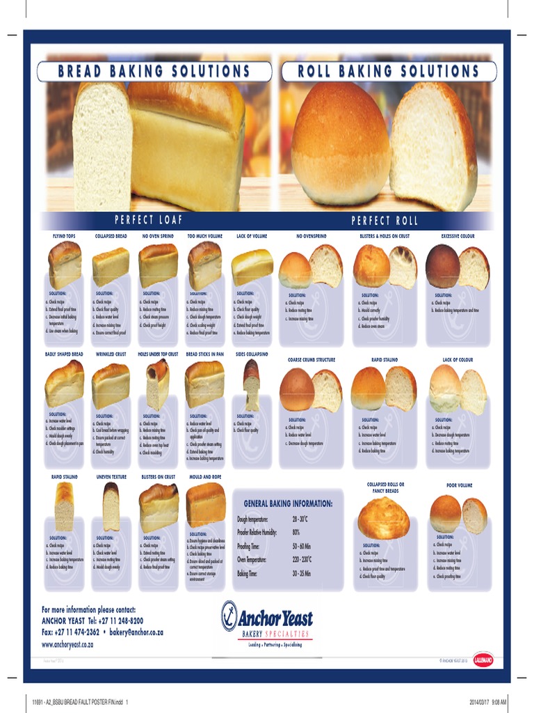 Bread Baking Troubleshooting Guide | PDF | Breads | Cuisine
