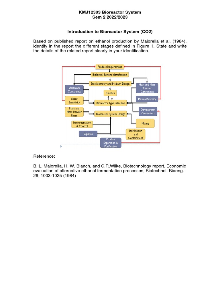 Activity 1 Merge-KMJ32503 - 230406 - 125701 | PDF | Fermentation | Ethanol