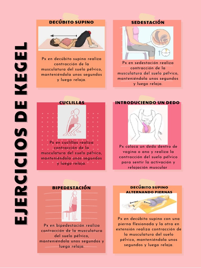 Ejercicios de Kegel | PDF | Pelvis | Músculo