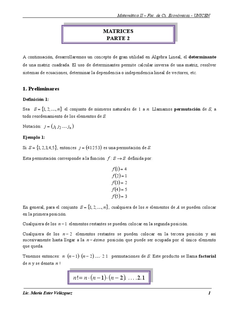 Teoría de Matrices - Determinantes | Descargar gratis PDF ...