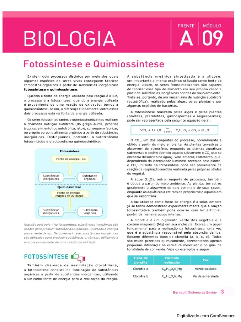 Bio A09 | PDF