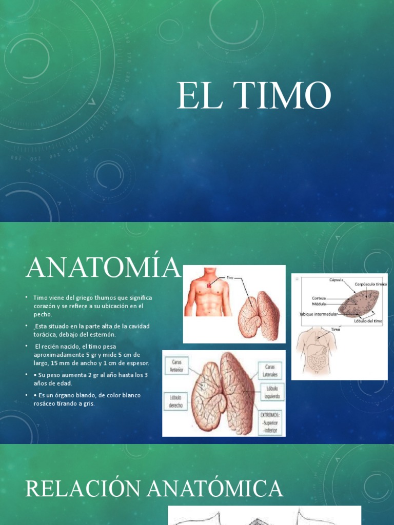 El Timo | PDF