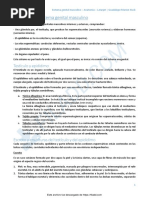Estructura de las capas del escroto | PDF