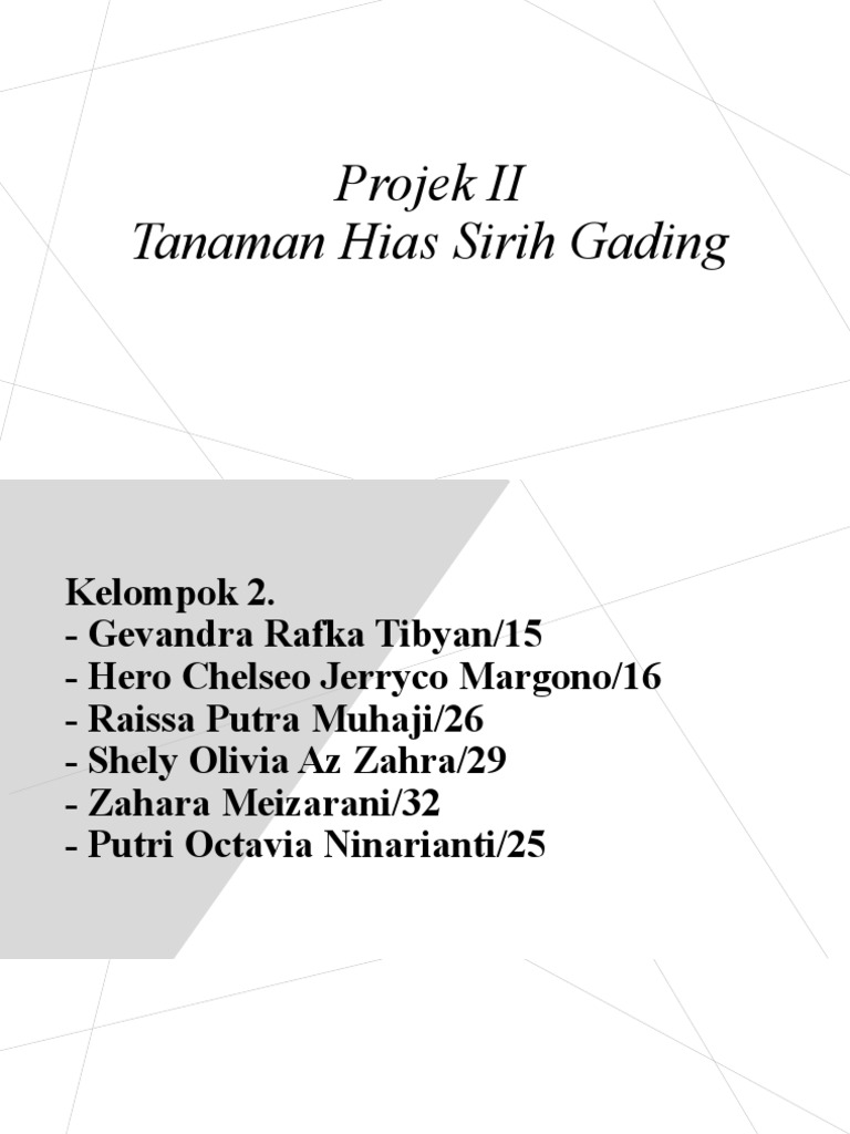 Presentasi Projek II-1 | PDF
