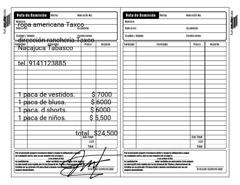 Nota-de-Remision-para-imprimir (1) - Edited | PDF | Responsabilidad (contabilidad financiera ...