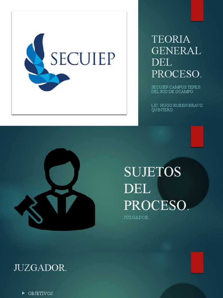 Teoria General Del Proceso Sem 8 | PDF | Judicaturas | Jurisdicción