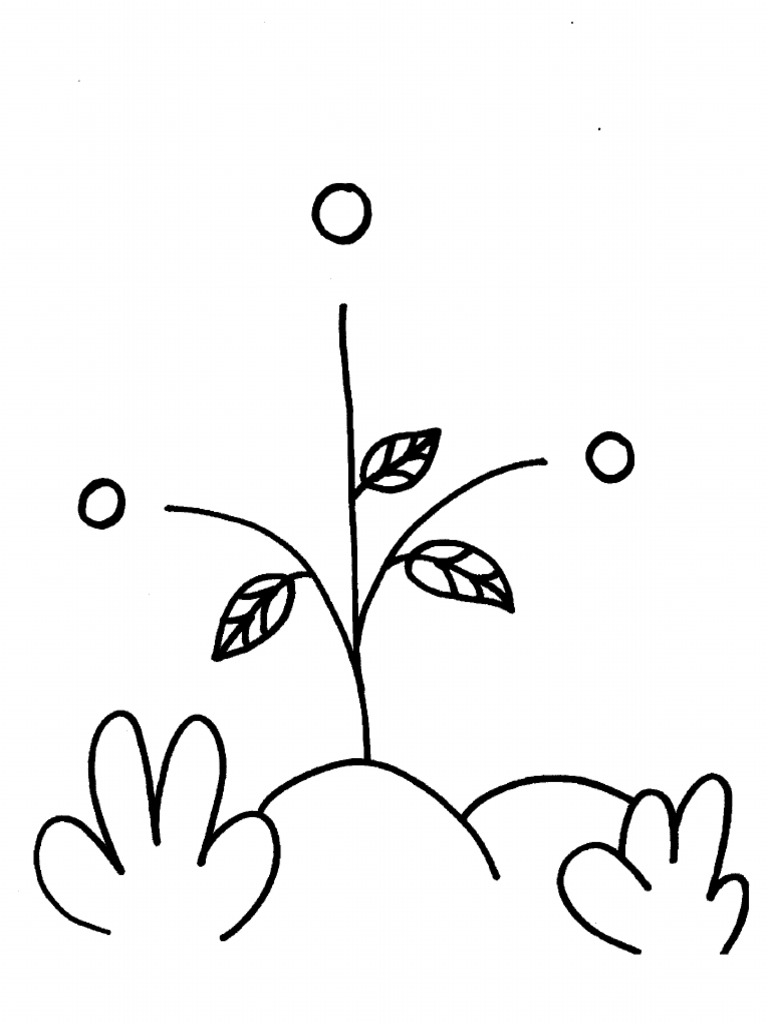 Bunga Stempel Pelepah Pisang | PDF