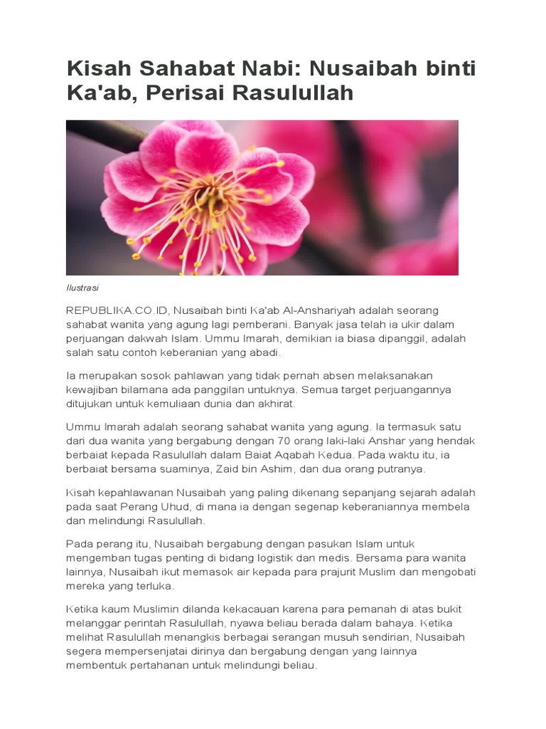 Kisah Pahlawan Nusaibah binti Ka'ab | PDF