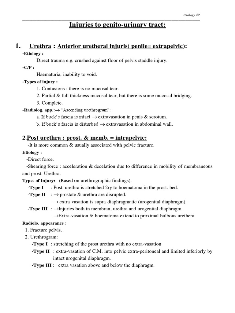 Gu Injuries | PDF | Urinary Bladder | Kidney