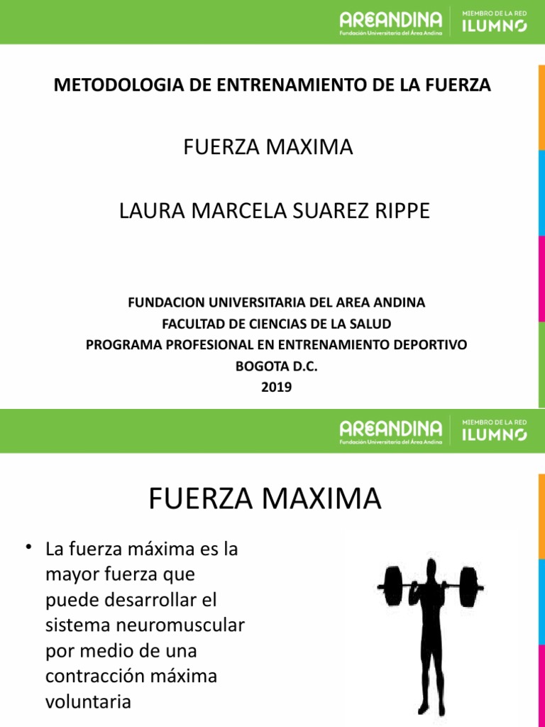 Metodologia Fuerza | PDF