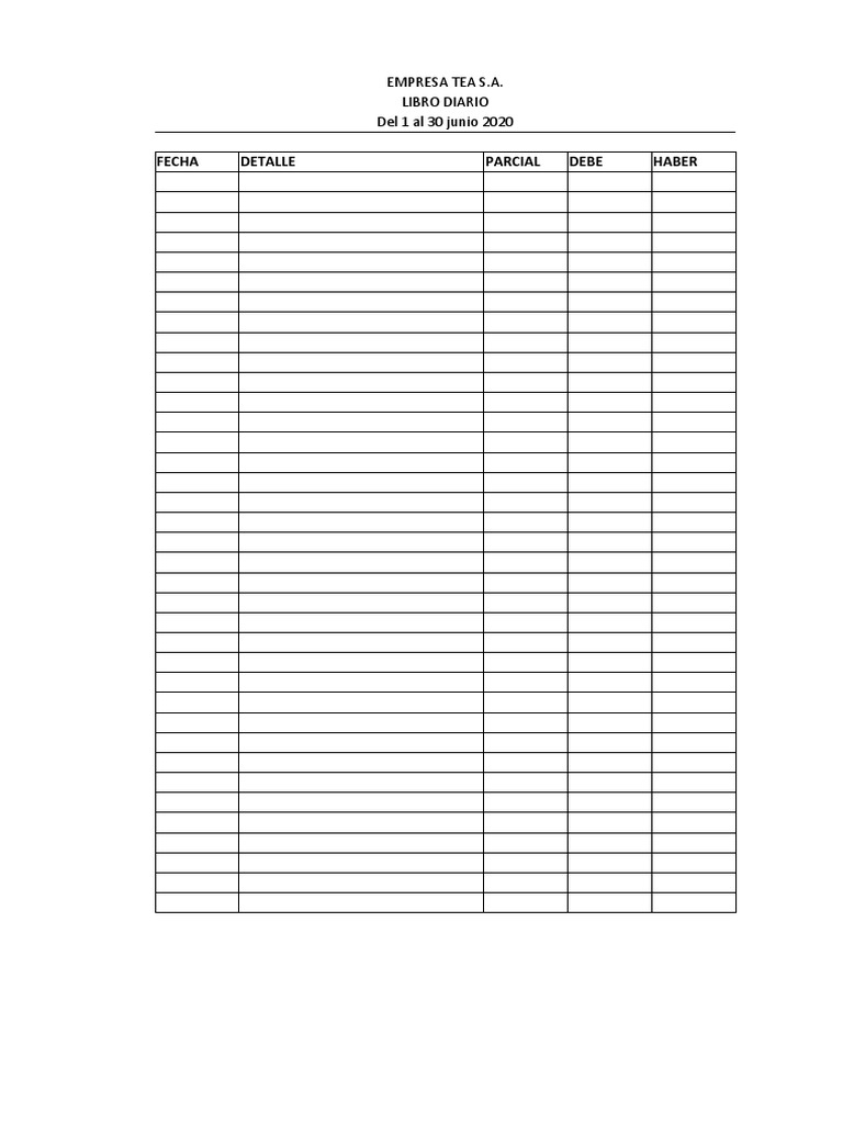 Formato Libro Diario | PDF