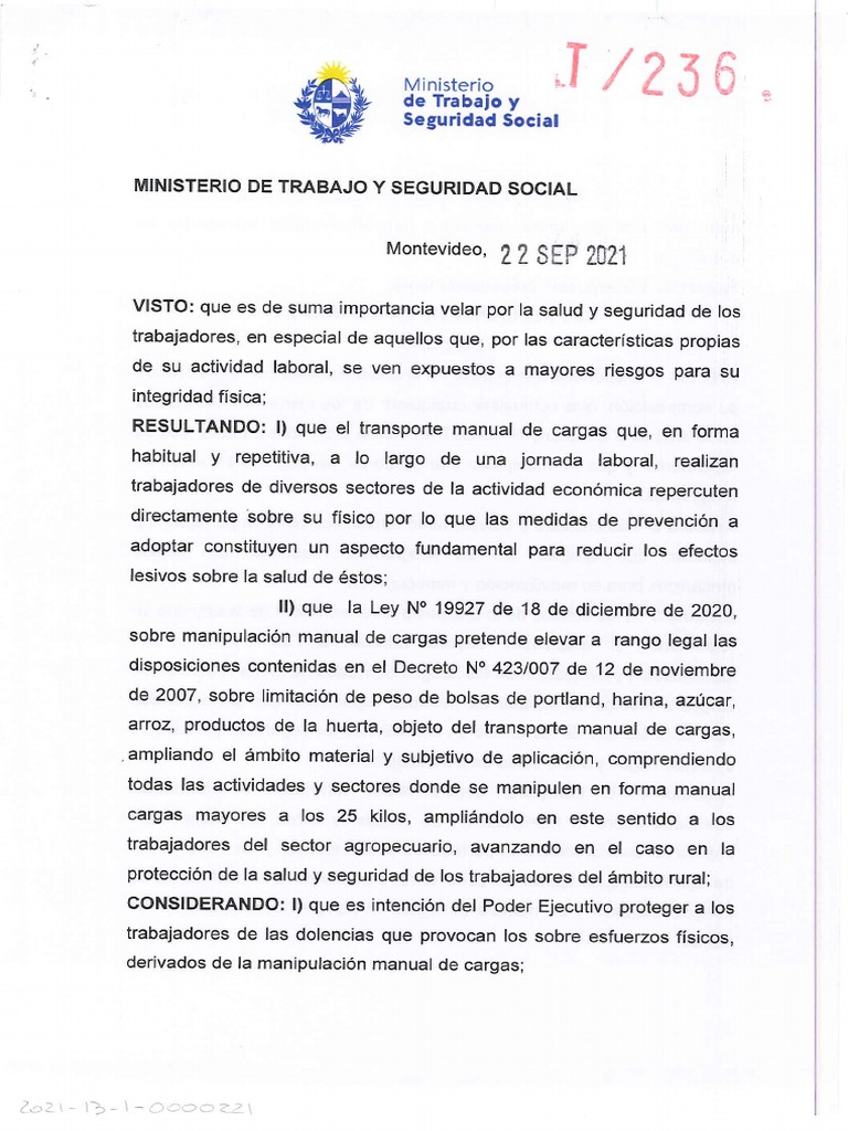 323-021 Peso Maximo | PDF