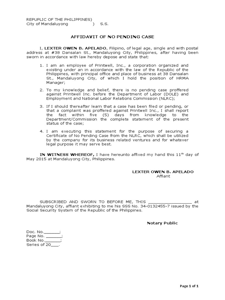 Affidavit No Pending Case | PDF