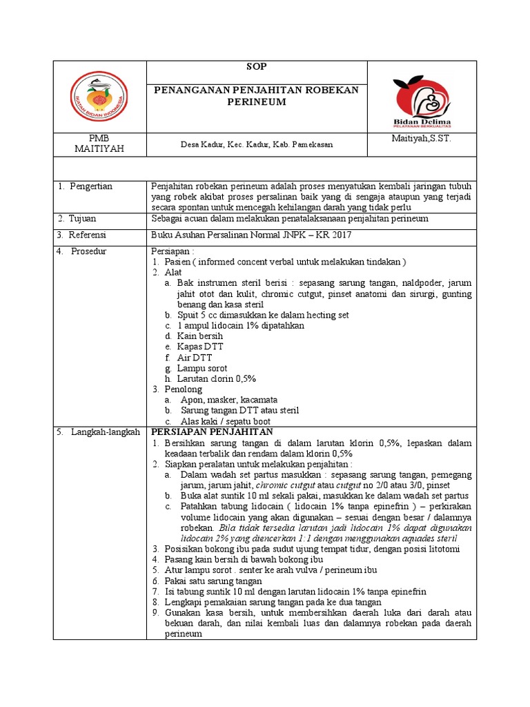 Robekan Perineum | PDF