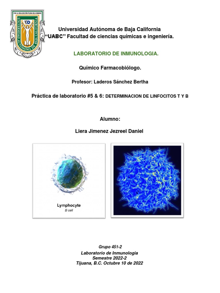 Practica 5 y 6 | PDF | Linfocitos | Célula T