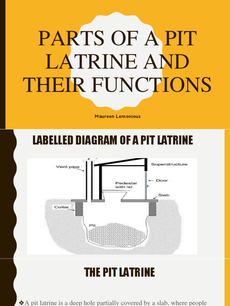 Sewage and The Pit Latrine | PDF