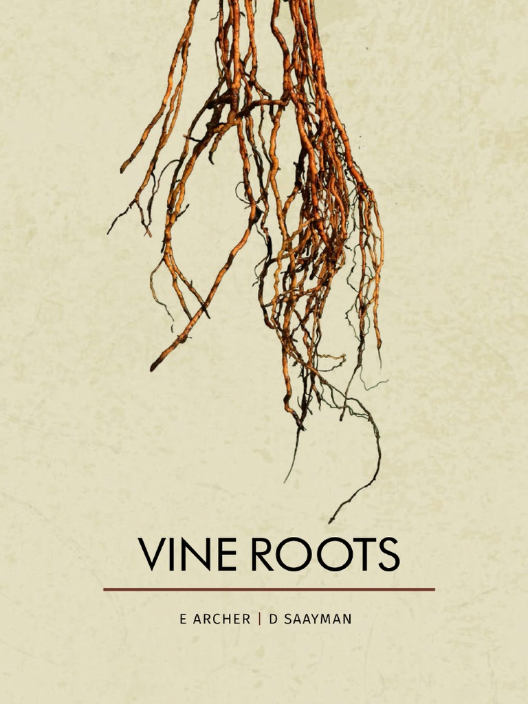 Vine Roots 1 | PDF | Root | Viticulture