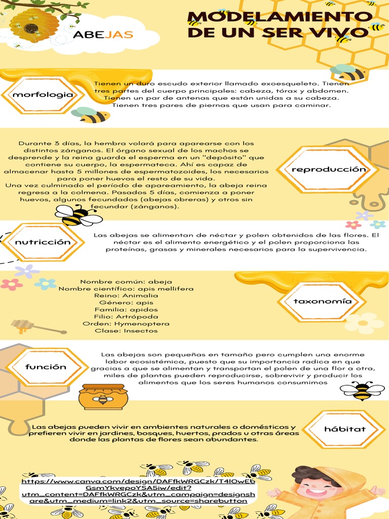 Infografía Las Abejas | PDF | Western Honey Bee | Insectos