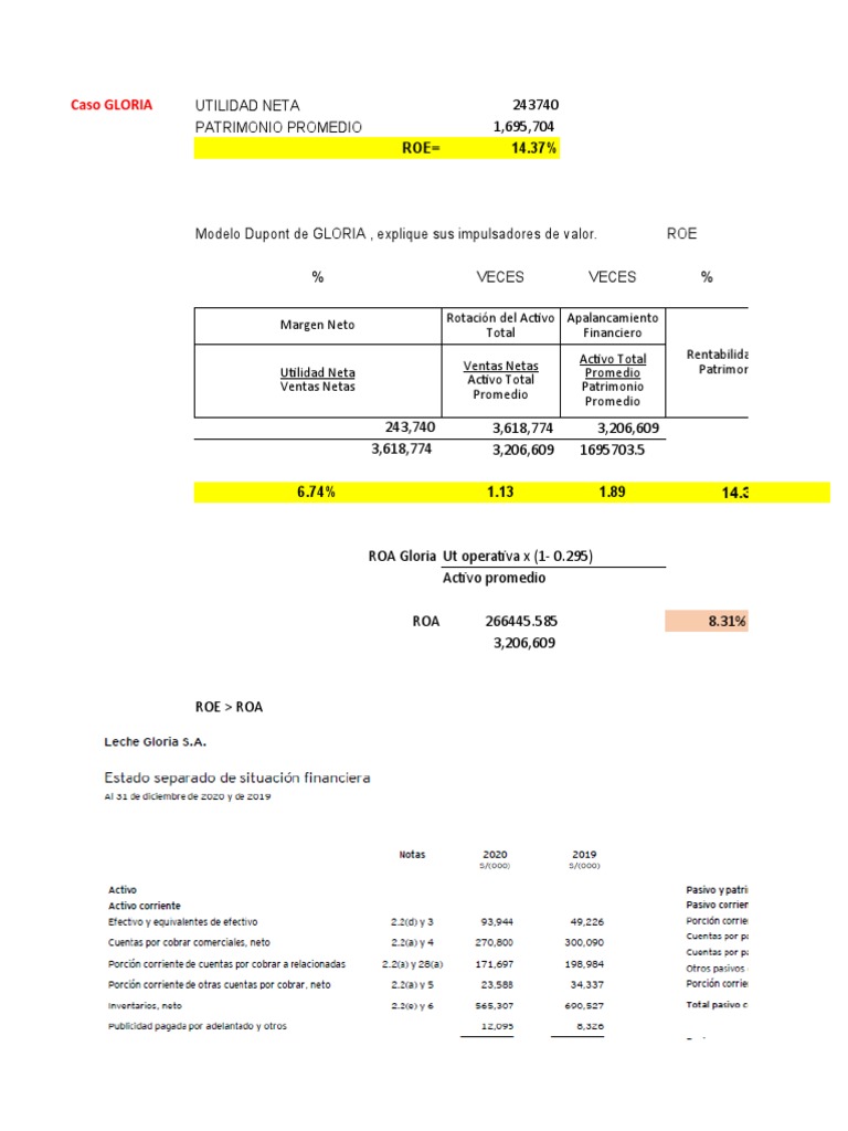 Caso ROE | PDF | Rentabilidad sobre recursos propios | Servicios financieros