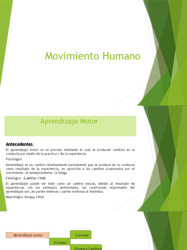 Aprendizaje Motor: Fases y Tipos de Movimientos | PDF | Aprendizaje ...