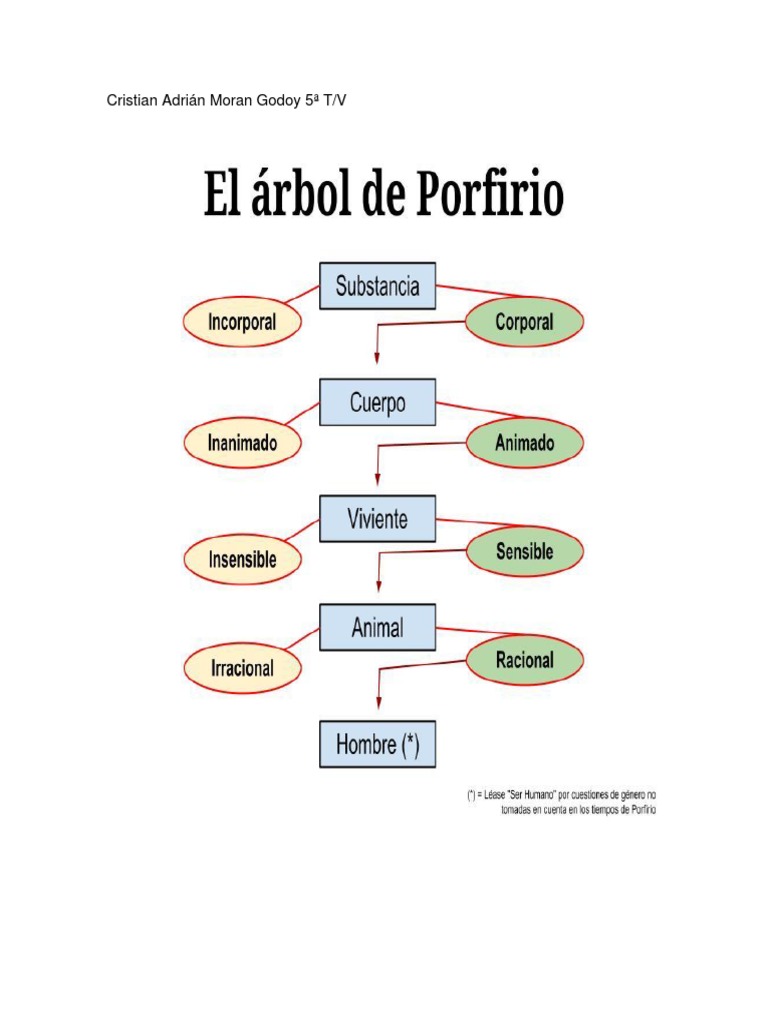 El Arbol de Porfirio | PDF | Realidad | Concepto