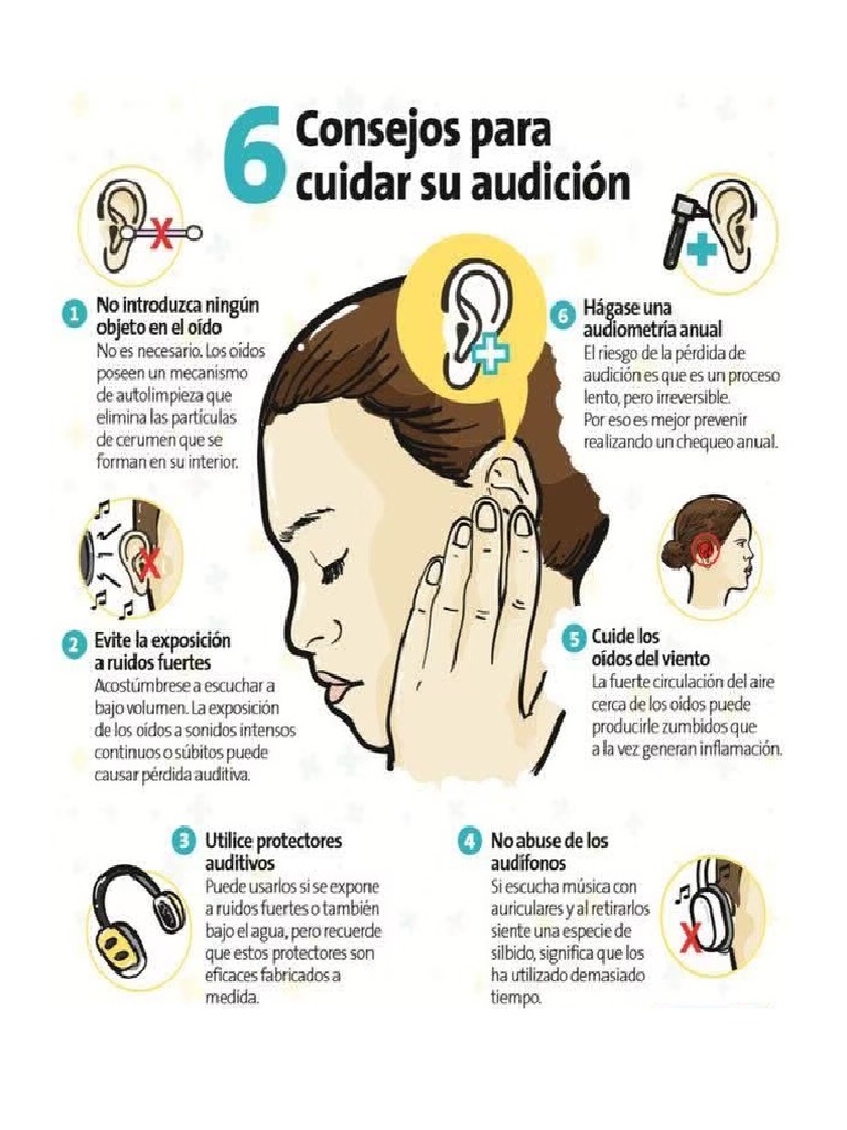 Infografia Del Oido | PDF