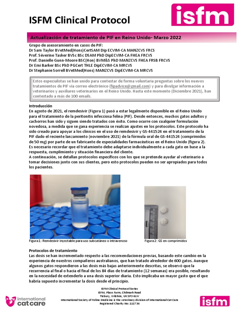 Protocolo | PDF | Inyección (medicina) | Gatos
