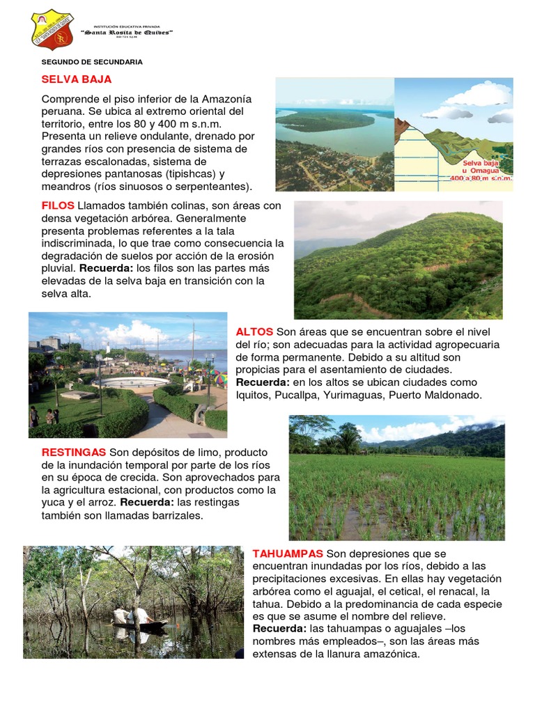 GEOGRAFÍA | PDF | Selva | Ciencias de la Tierra