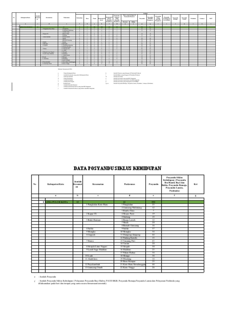 Data Posyandu Terintegrasi | PDF