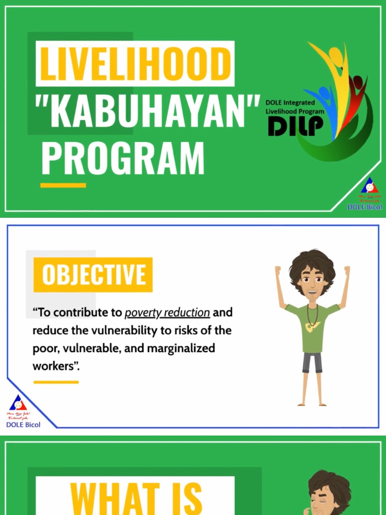 Revised DILP Guidelines For Orientation | PDF