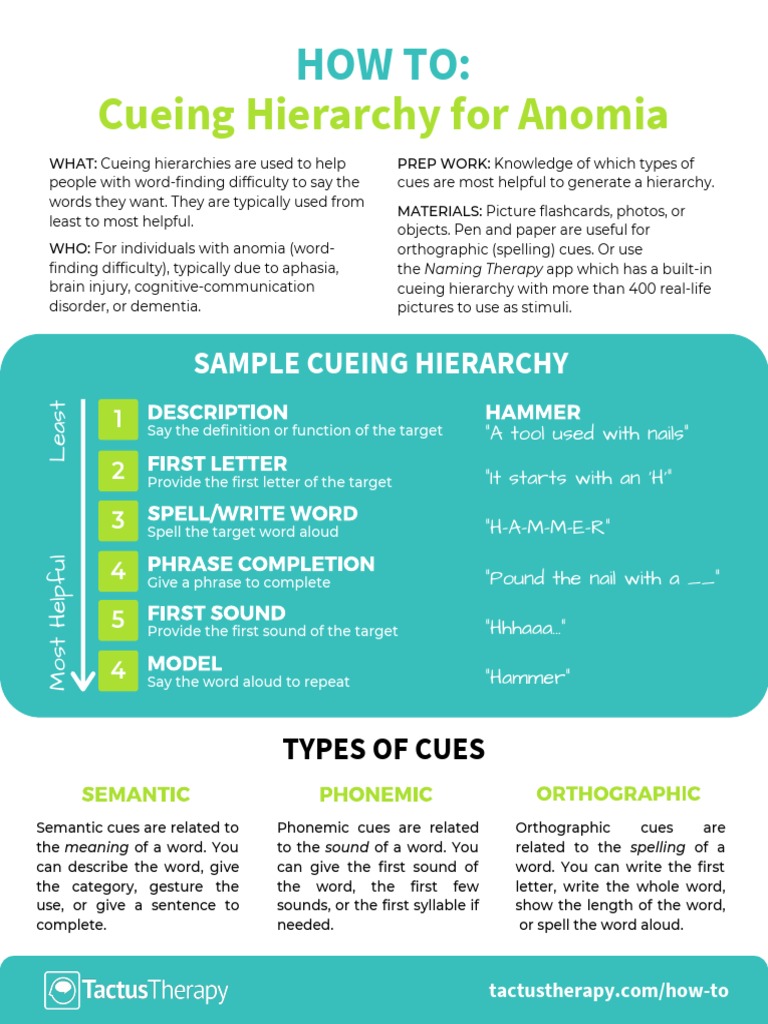 Anomia - Cueing Hierarchy (Tactus) | PDF Anomia - Cueing Hierarchy (Tactus) | PDF