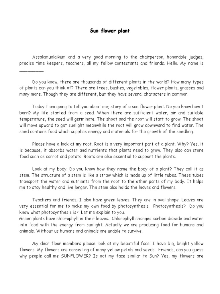 Teks Cerita STEM | PDF | Plants | Root