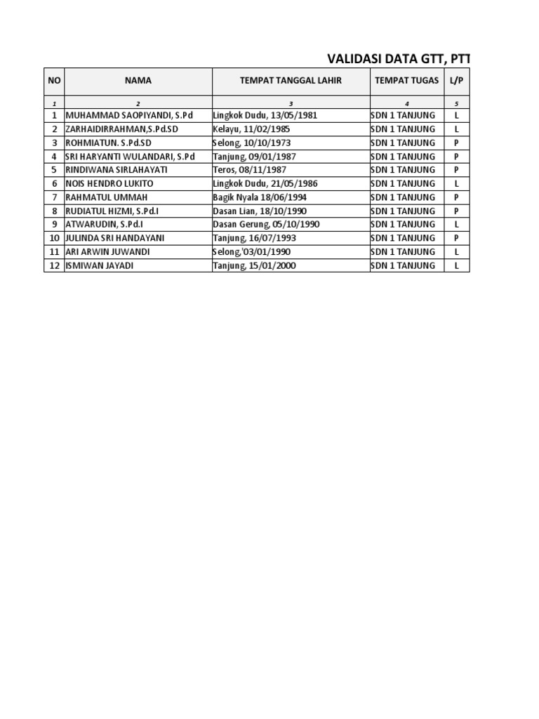 Format Validasi Data Non Asn Tahun 2023 | PDF