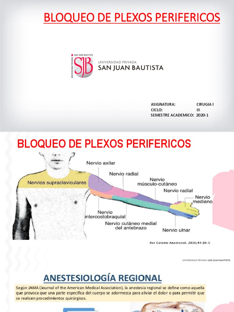 Bloqueo de Plexos Perifericos | PDF | Anestesia | Pelvis