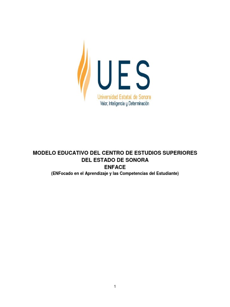 LBG Modelo Enface | PDF | Plan de estudios | Aprendizaje