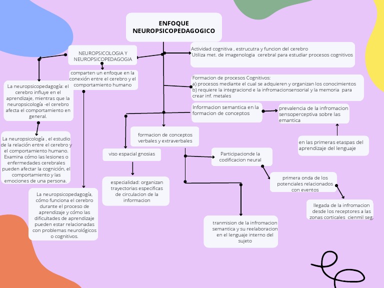 Mapa Conceptual | PDF | Cerebro | Neuropsicología