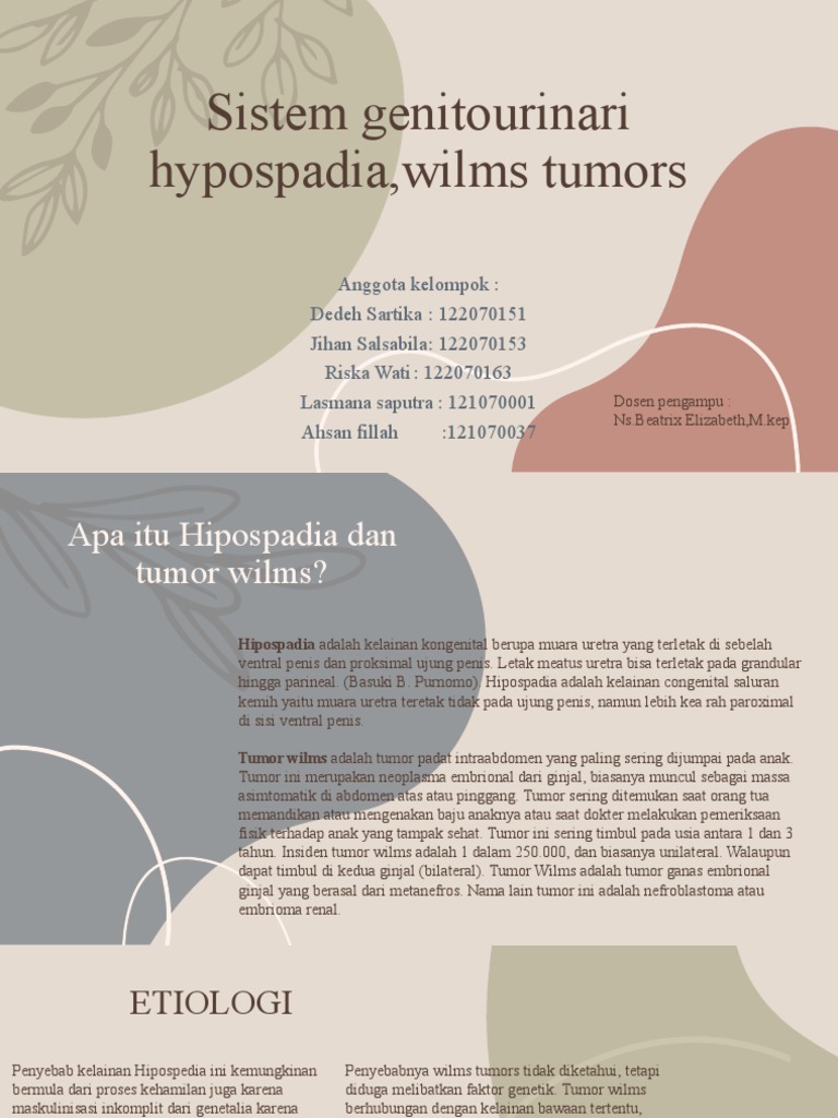 Hypospadia, Wilms Tumors | PDF