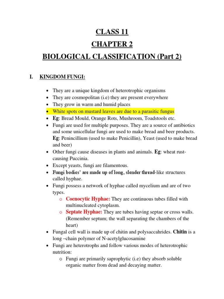 CLASS 11 Biological Classification Part 2 Kingdom Fungi To Lichens. | Download Free PDF | Fungus ...