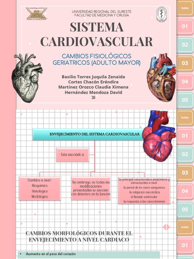 Sistema Cardiovascular | PDF | Corazón | Fisiología Cardiovascular