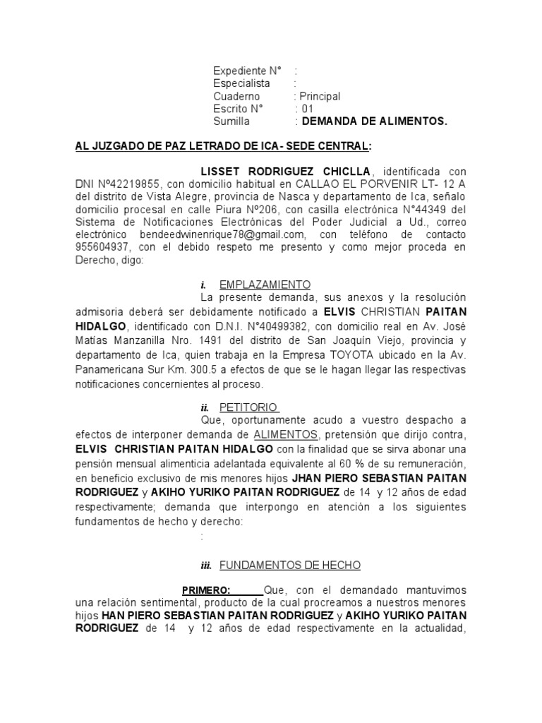 Demanda de Alimentos Lisset Rodriguez Chicclla FINAL FINAL ESTE SI XD ...