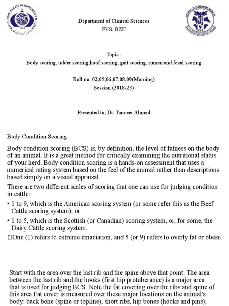 Body Condition Scoring and Other | PDF | Cattle | Anatomical Terms Of ...