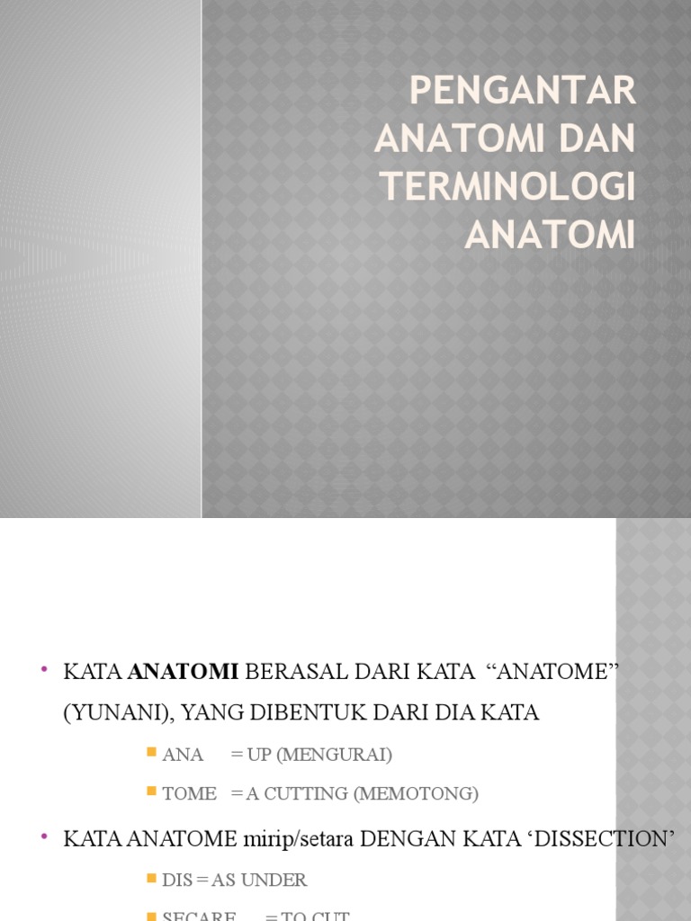 Pengantar Terminologi Anatomi Manusia | PDF | Sains & Matematika