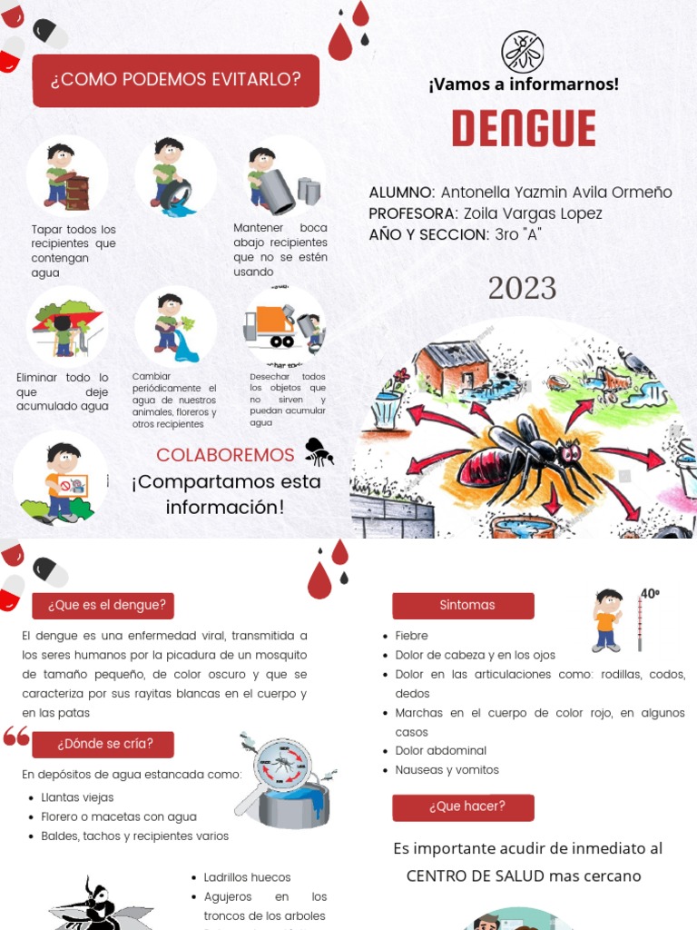 Dengue | PDF | Causas de la muerte | Medicina CLINICA